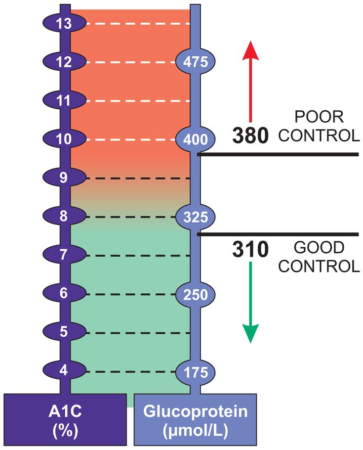 Assessment of the Treatment Regimen